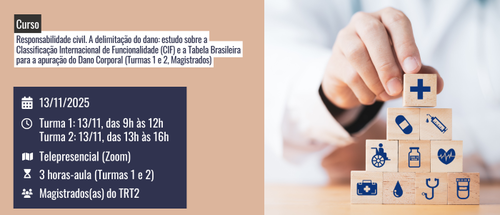Curso: Responsabilidade civil. A delimitação do dano: estudo sobre a ...